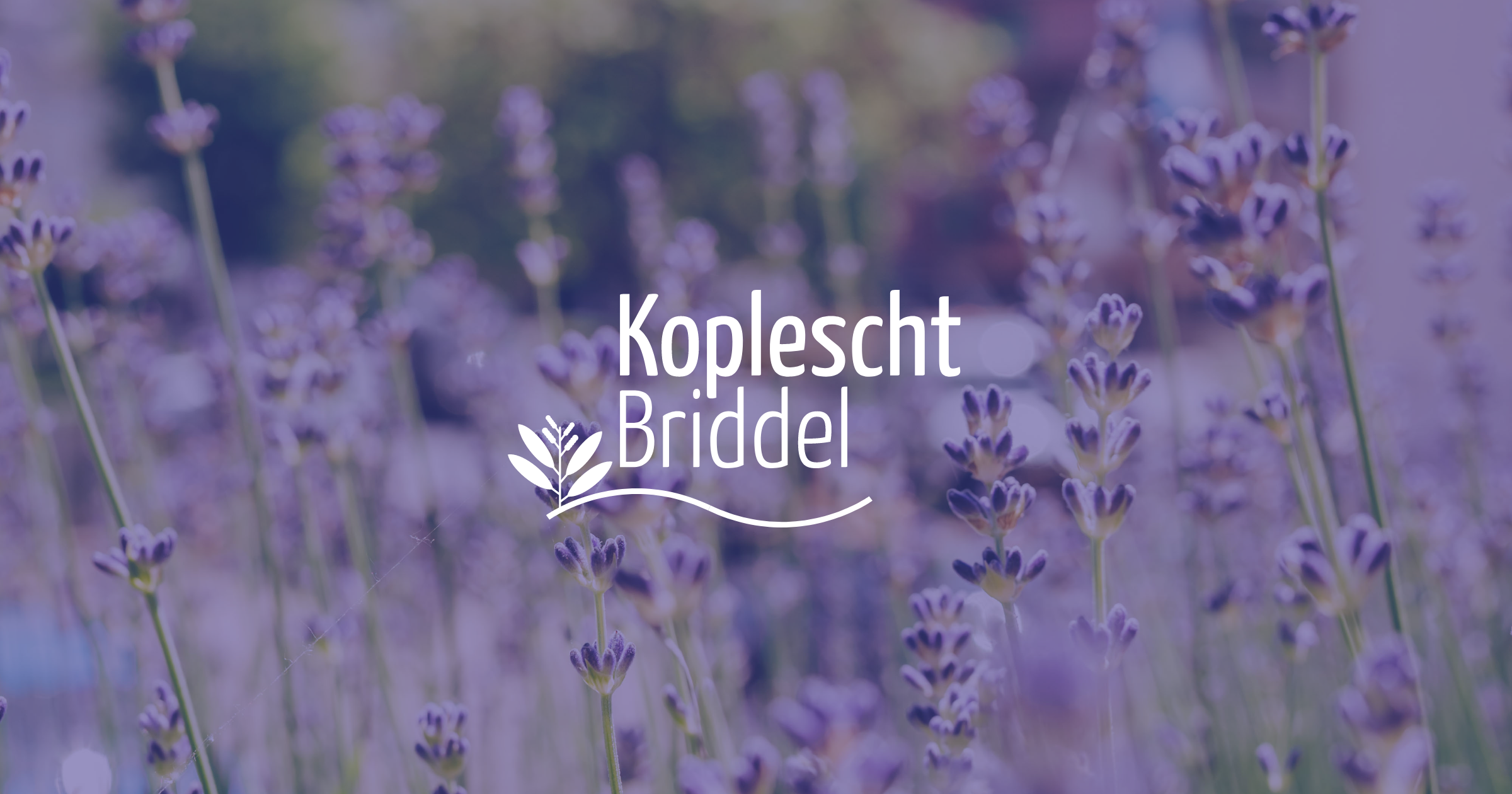 Technical assistance in the context of European integration of Kosovo ...